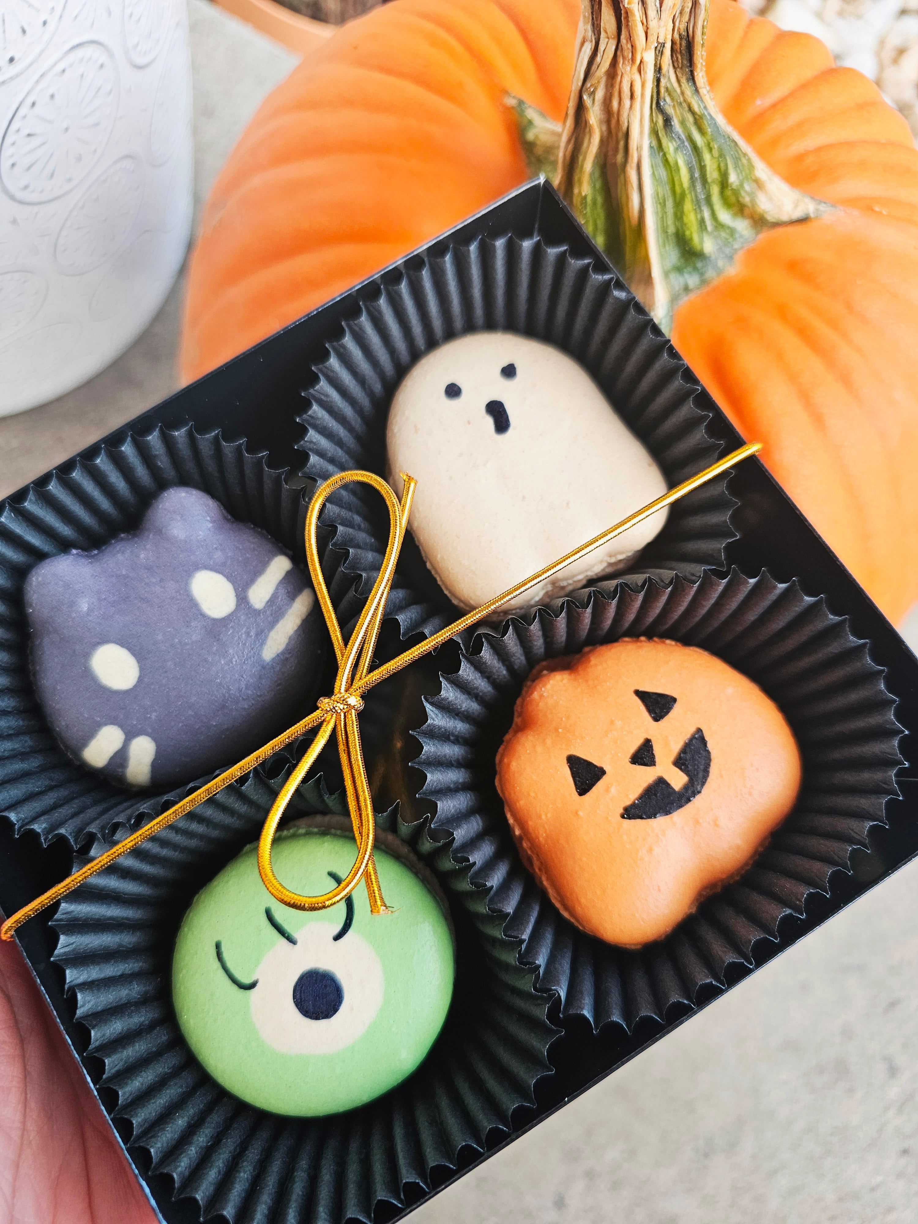 Halloween BOO BOX – Chiboo LLC